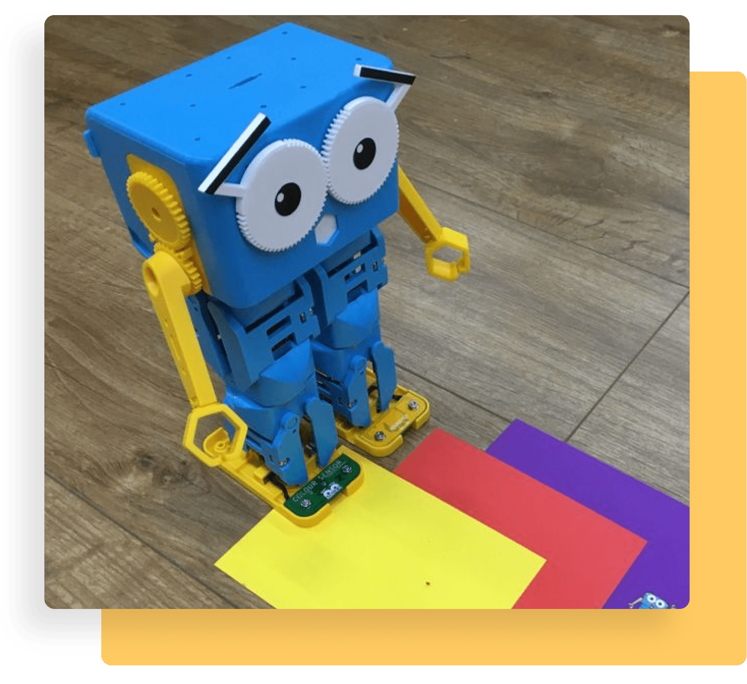 Teachers & Educators - Marty the Robot in the Classroom | Robotical