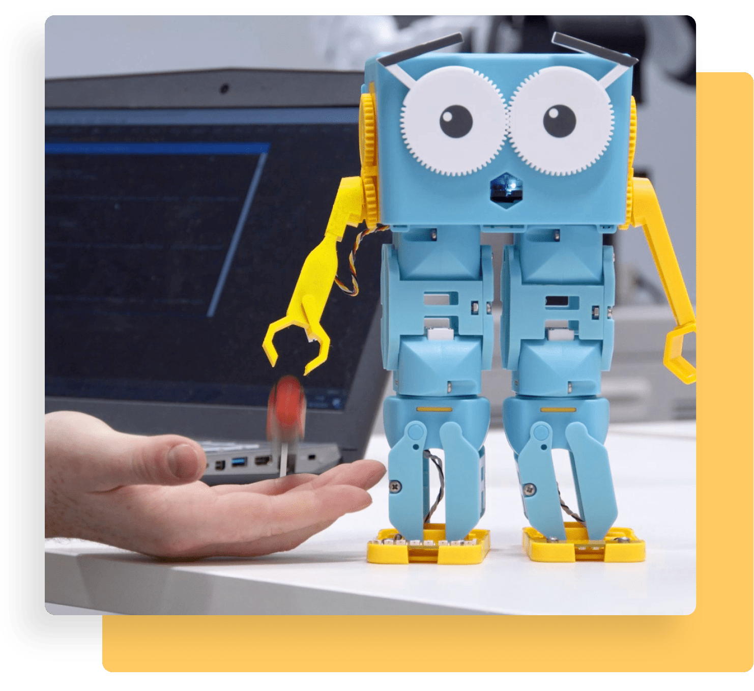 Teachers & Educators - Marty the Robot in the Classroom | Robotical