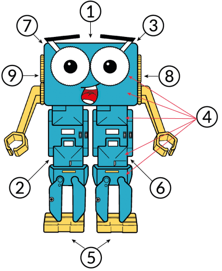 Marty the Robot - Best Robot for Coding & STEM | Robotical